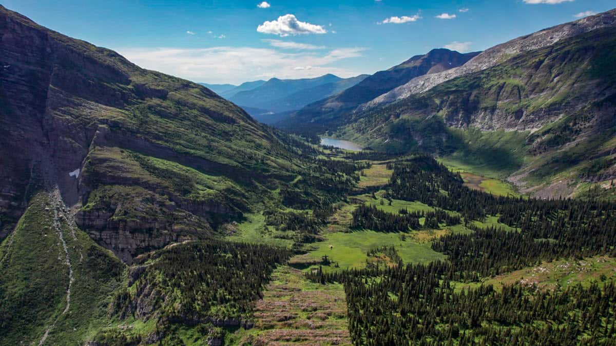 High Fidelity Fiber Optic Sensing is the newest tool in early detection ...