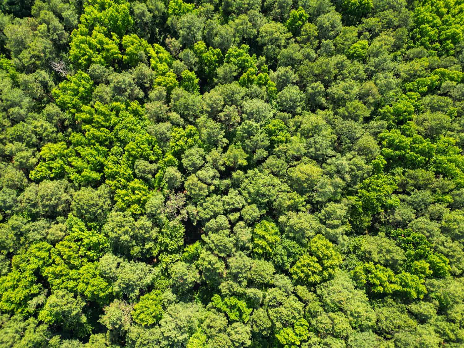 ECC Responds to Oil and Gas Sector Greenhouse Gas Emissions Cap ...